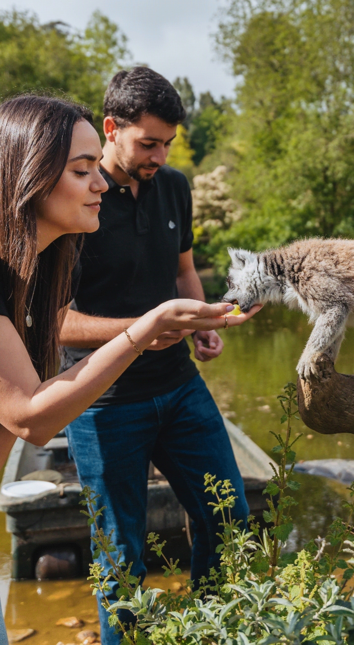 Homepage - Zoo Santo Inácio