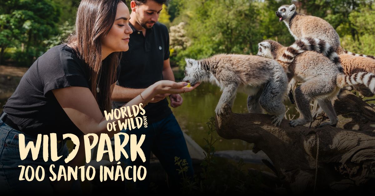 Planning your Visit - Zoo Santo Inácio