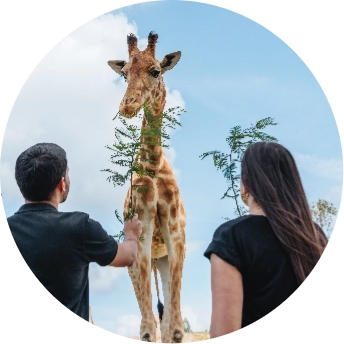 VIP Exclusiva - Zoo Santo Inácio