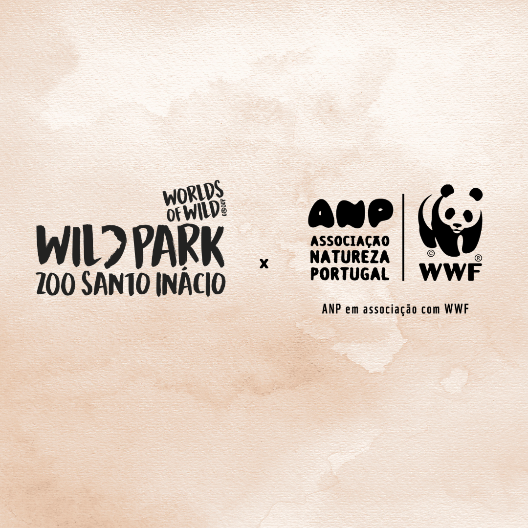 Zoo Santo Inácio | O Maior Zoo do Norte de Portugal
